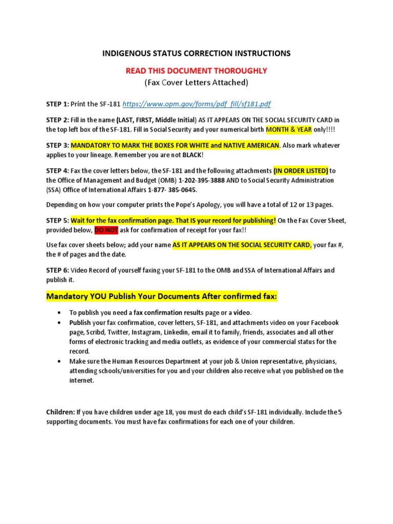 SF 181 Instructions | PDF