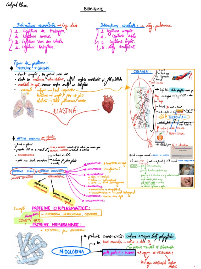 Notite Biochimie | PDF