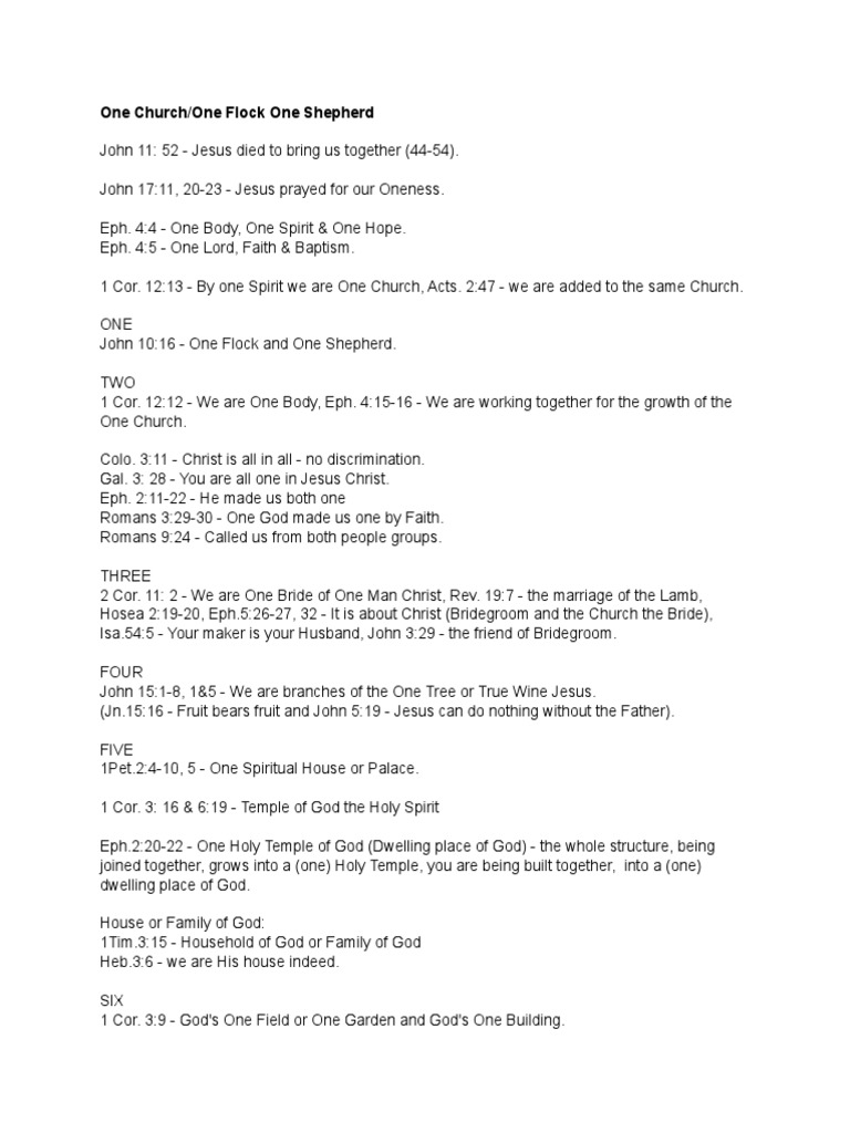 One Church - One Flock One Shepherd | PDF