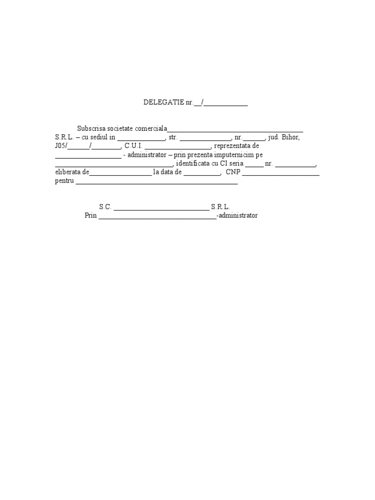 Delegatie Model | PDF