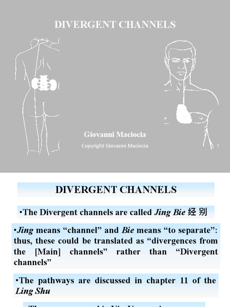 Jing Bie Divergent Channels Sample | PDF | Yin And Yang | Medical ...