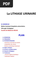 Cystostomie à minima : Technique et soins | PDF | Vessie | Appareil ...