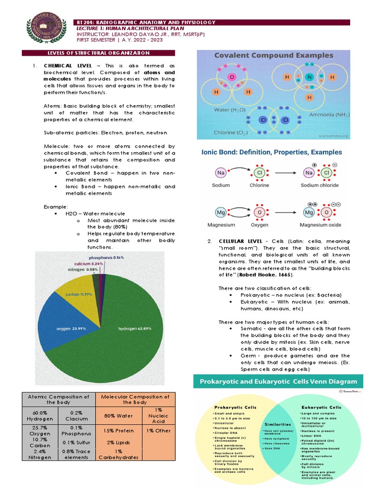 RT 204 Prelim Transes | PDF | Epithelium | Endoplasmic Reticulum
