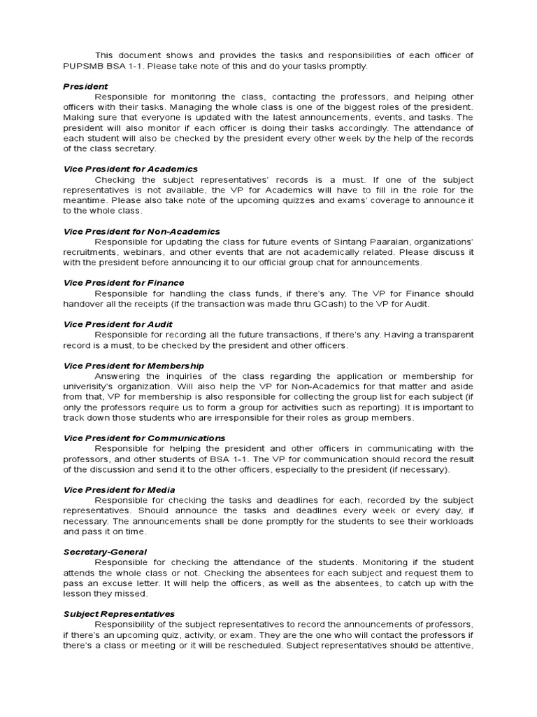 BSA 1 1 Roles and Responsibilities | PDF