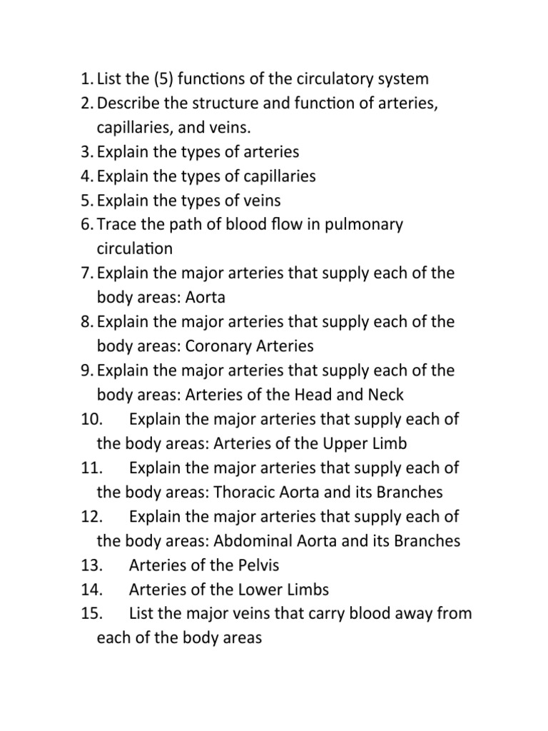 Describe The Structure and Function of The Arteries | PDF