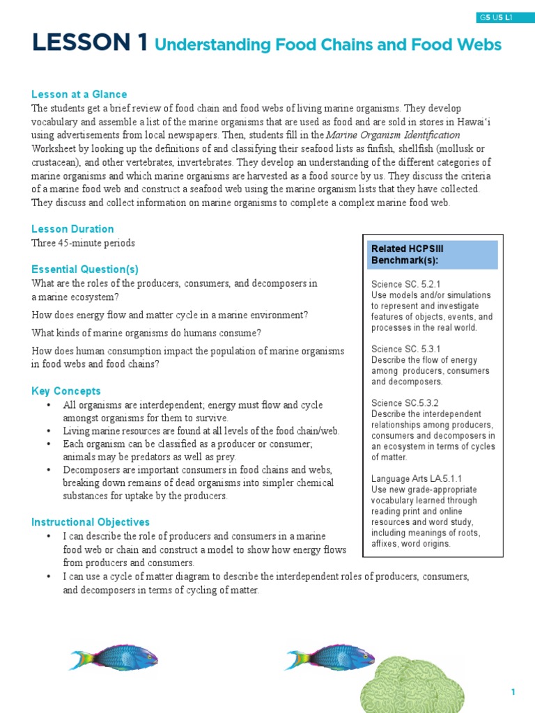 G5U5L1 Understanding Food Chains and Food Webs | PDF | Shrimp | Food Web