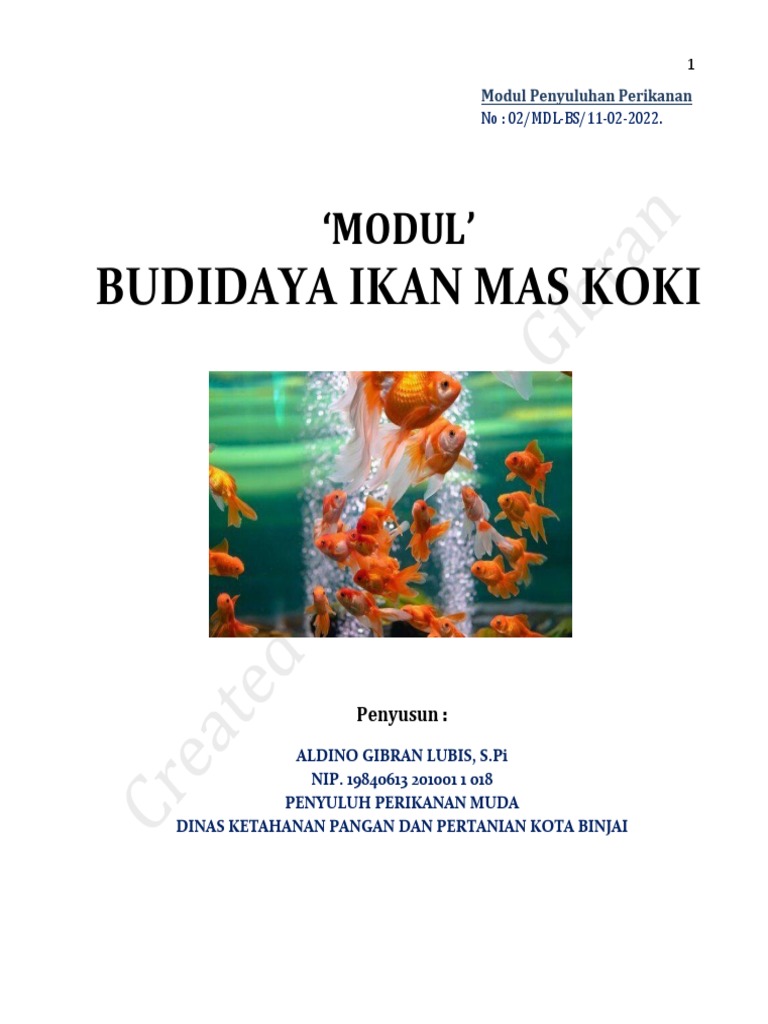 Modul - BUDIDAYA IKAN MAS KOKI (FiX) | PDF
