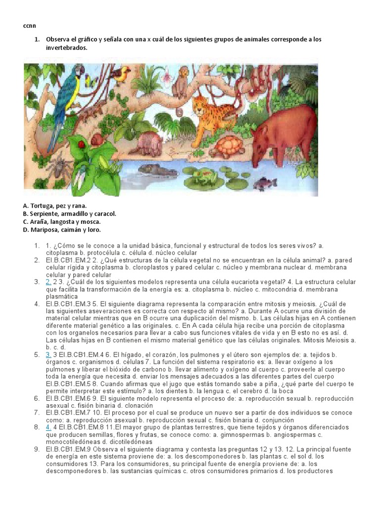 Cuestionario de CCNN y Eecc 7mo VCP | PDF | Biología Celular) | Citoplasma