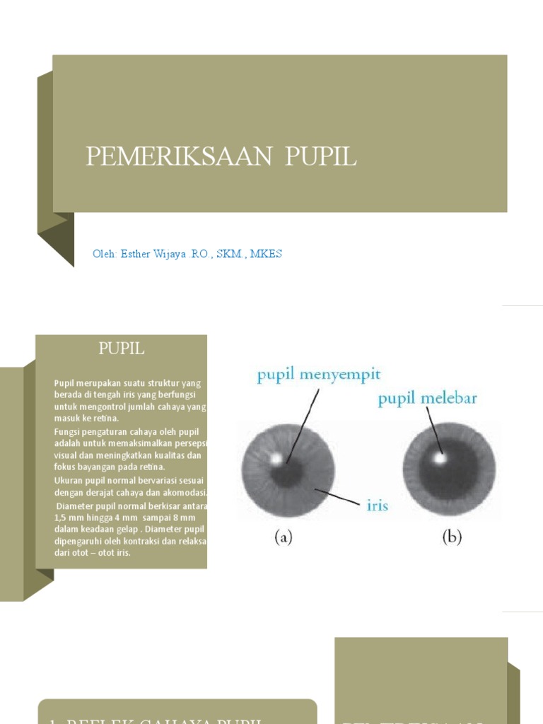 Pemeriksaan Evaluasi Pupil | PDF