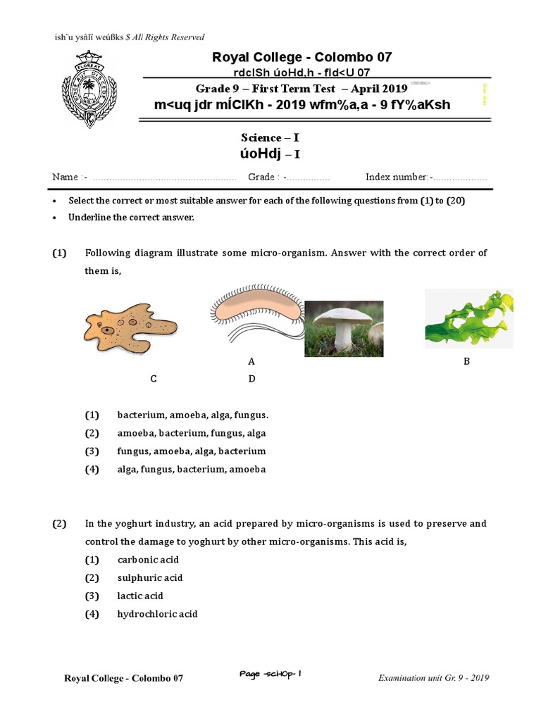 Royal College Grade 09 Science First Term Paper English Medium | PDF ...