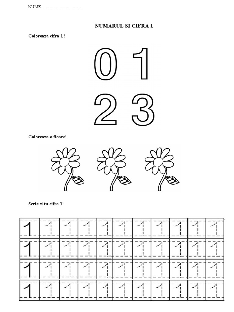 cifra_1_grupa_mica | PDF