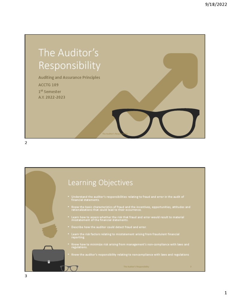 Ch03 - Auditor's Responsibility | PDF | Financial Audit | Debits And Credits