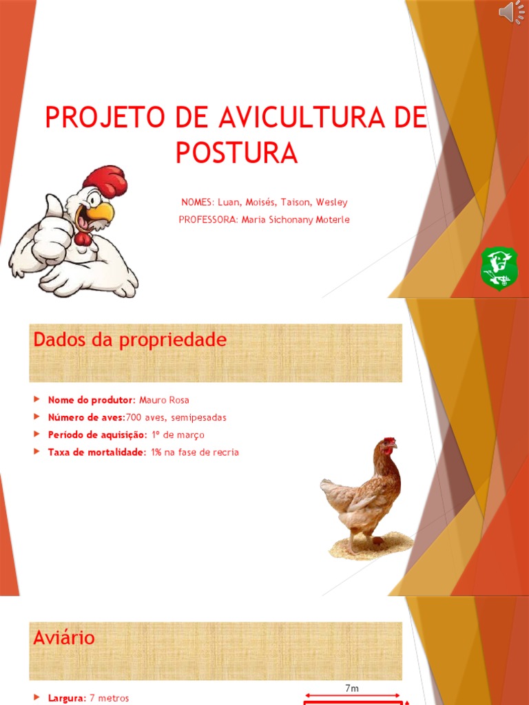 Projeto avicultura postura | PDF | Aves