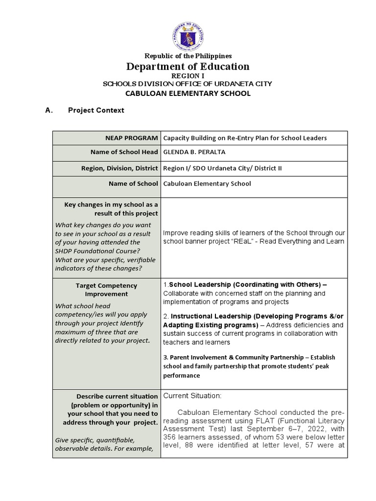 REAP Template | PDF | Learning | Teachers