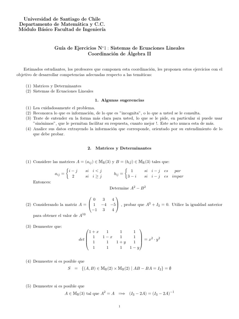 Ejercicios de Álgebra II: Matrices y Sistemas | PDF | Determinante ...