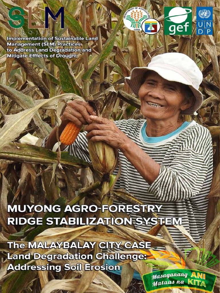 Muyong Agro Forestry Ridge Stabilization System | PDF | Soil | Agriculture