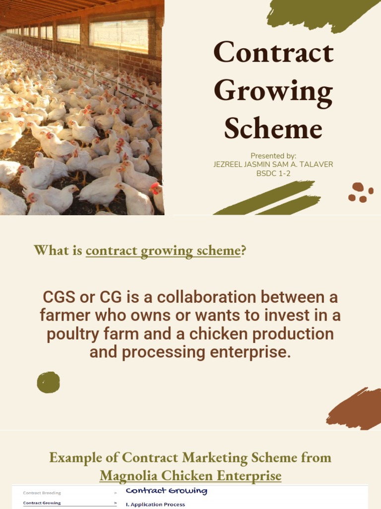 Contract Growing Scheme | PDF | Farmer | Food Industry