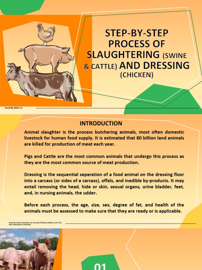 SLAUGHTERING | PDF | Animal Slaughter | Meat