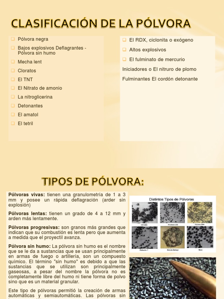 Clasificacion de La Polvora | PDF | Pólvora | Pirotécnica