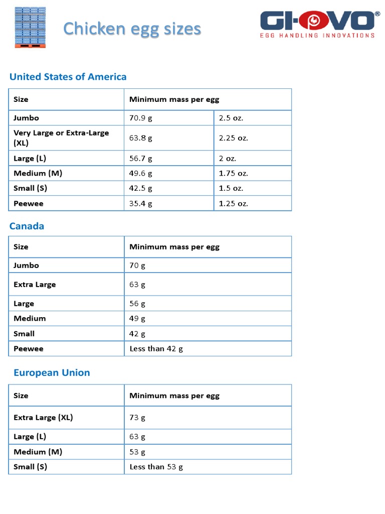 Chicken Egg Sizes | PDF | Post Soviet States | Poultry