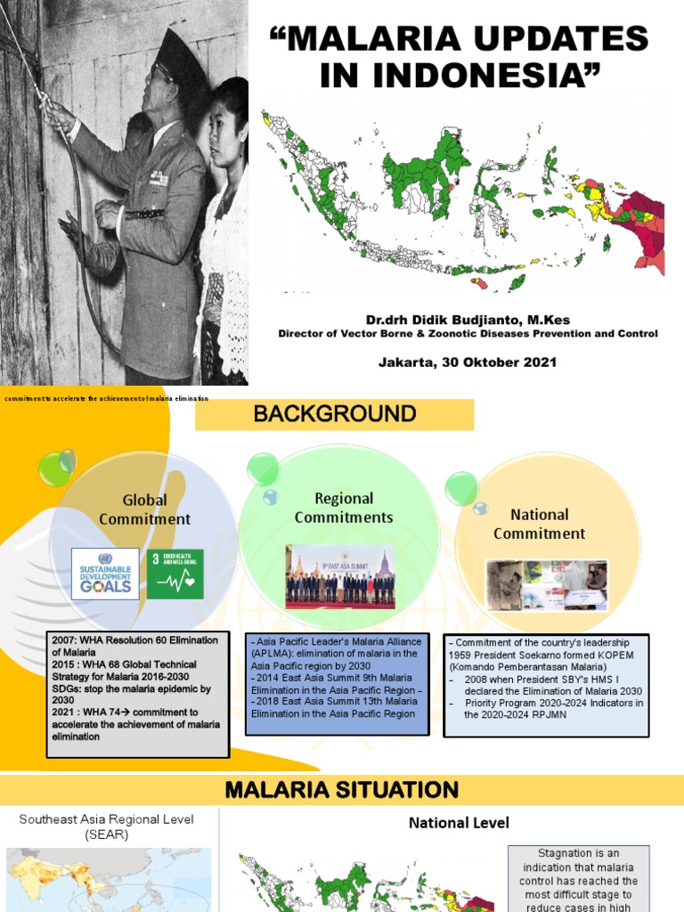 Malaria Updates In Indonesia Kemenkes Pdf Malaria Causes Of Death