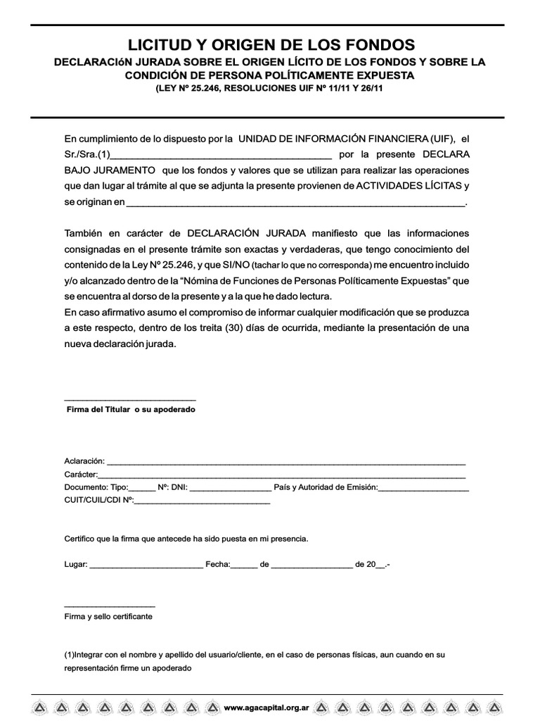 Licitud de Fondos DDJJ Persona Fisica | PDF | Finanzas y dinero ...