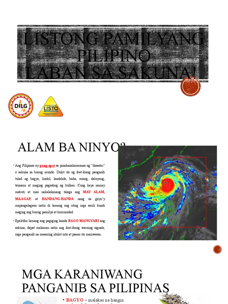 Family Disaster Guide | PDF