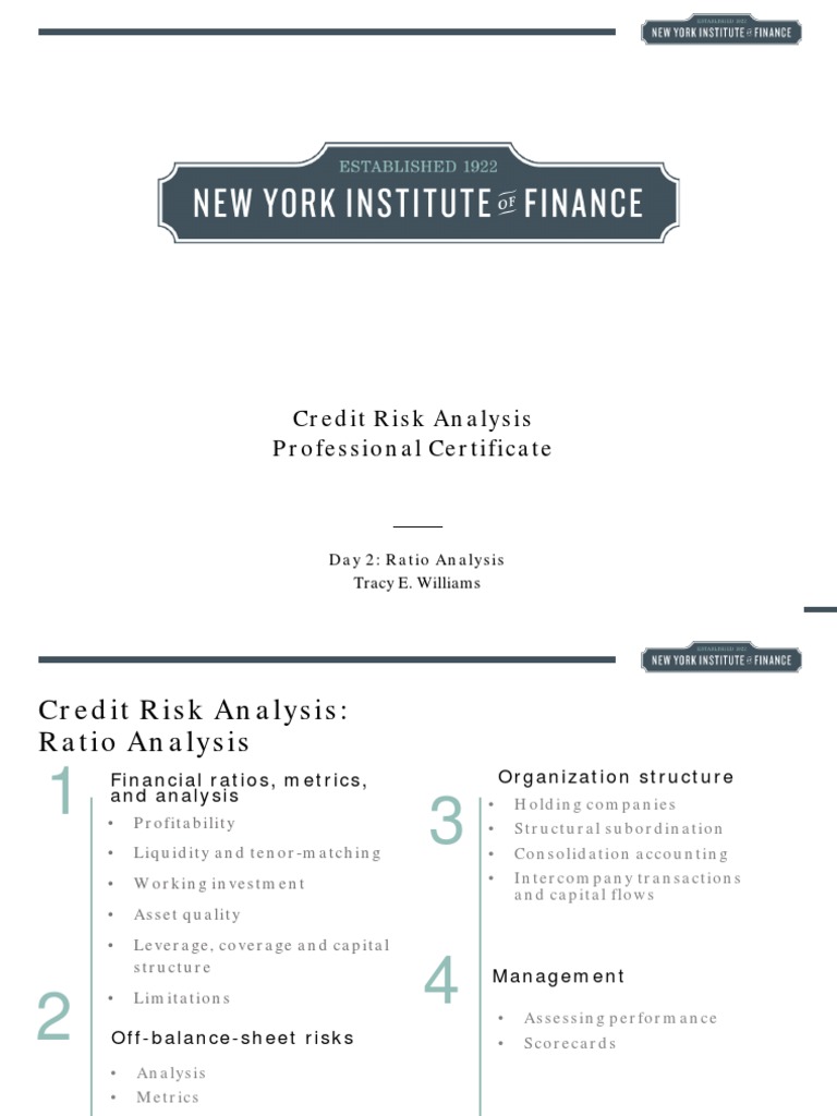 NYIF Williams Credit Risk Analysis II 2018 | PDF | Working Capital | Capital Structure