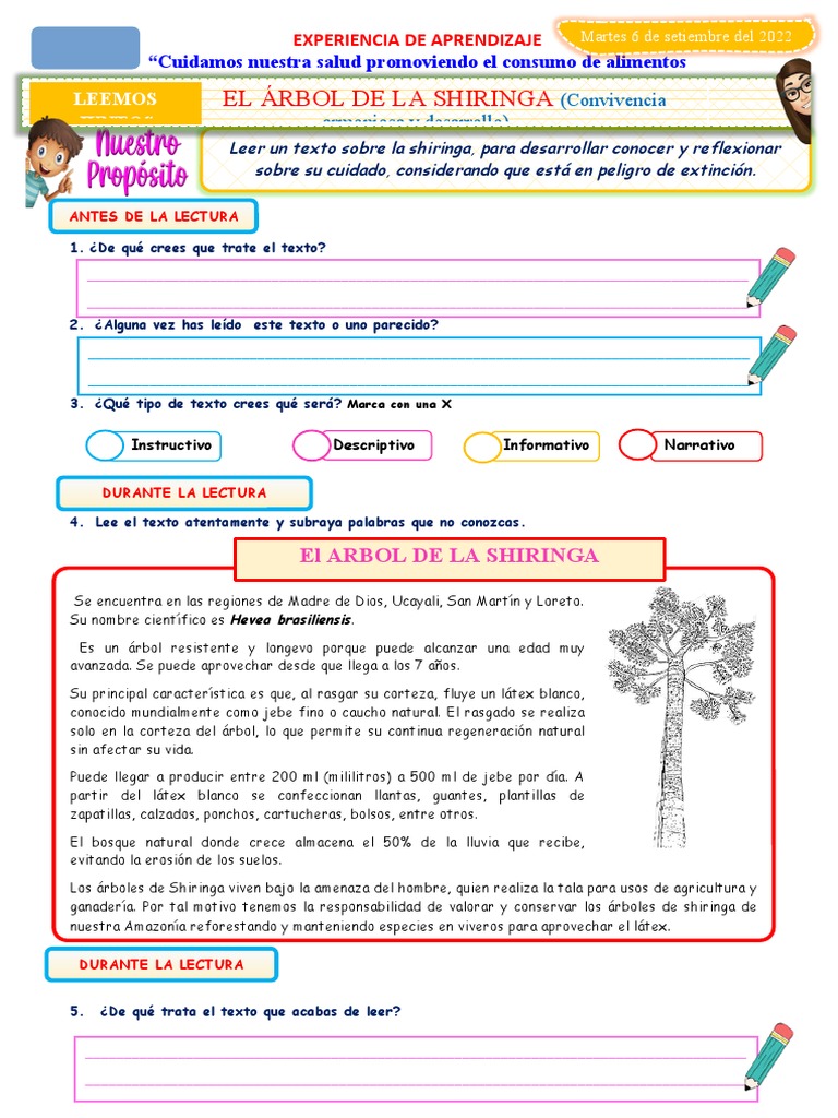 Leemos Juntos El Árbol de La Shiringa | PDF