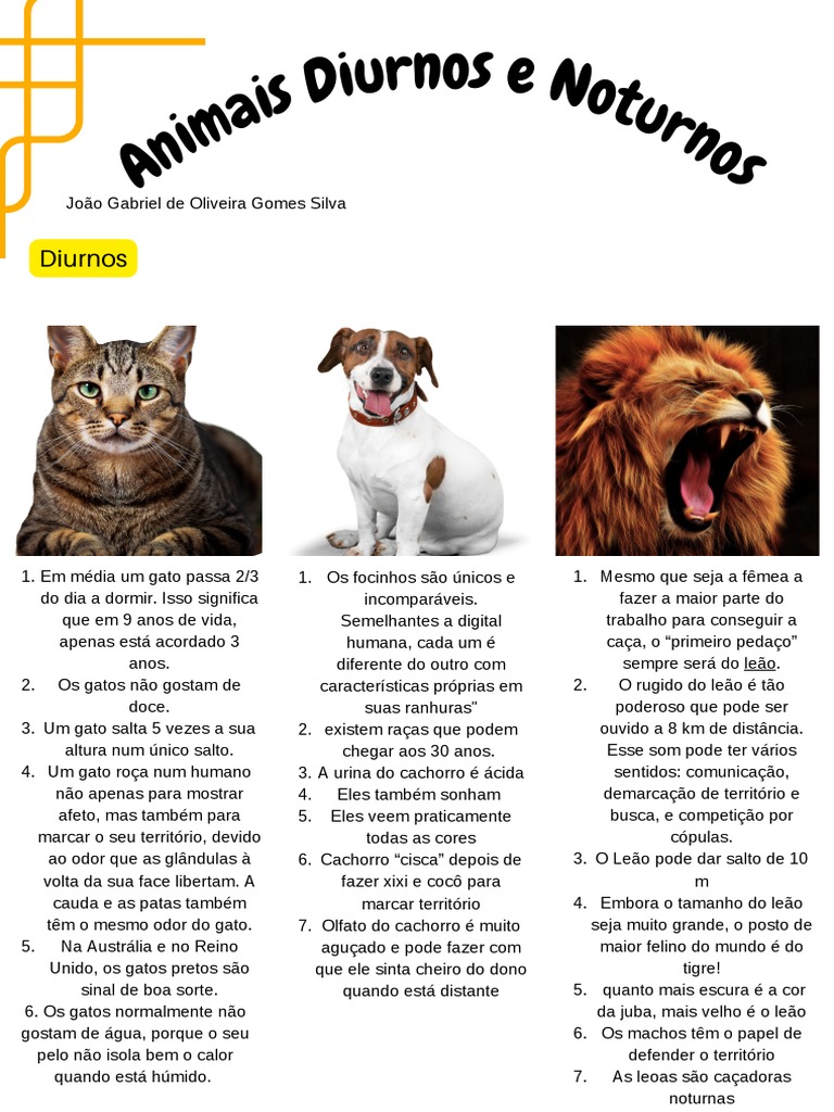 Hábitos diurnos e noturnos de alguns animais | PDF | Gatos | Morcego