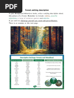 Descriptive Forest Writing Examples | PDF | Trees | Rainforest