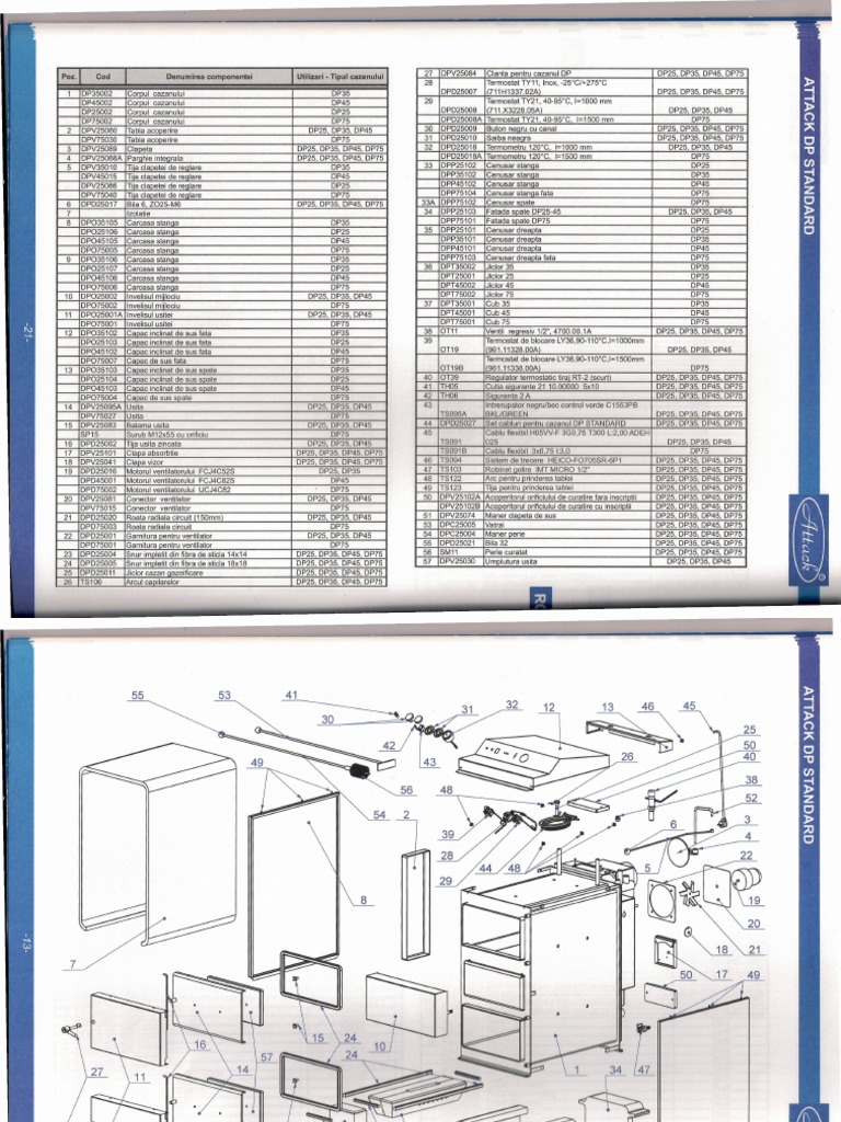 Cazane Piese și Utilizări DP25-DP75 | PDF