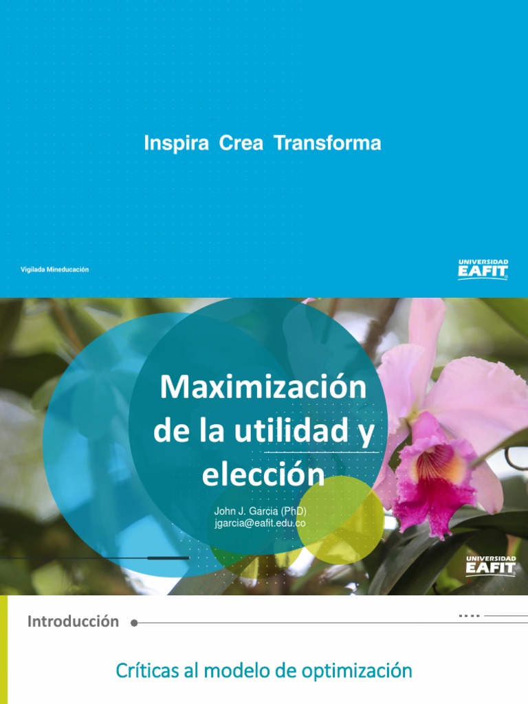 Maximización de La Utilidad | PDF | Utilidad | Curva de demanda