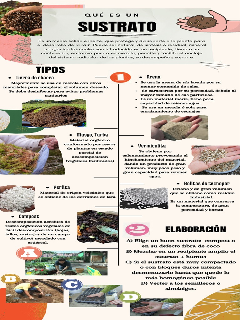 Infografía Sustrato | PDF | Compost | Materiales