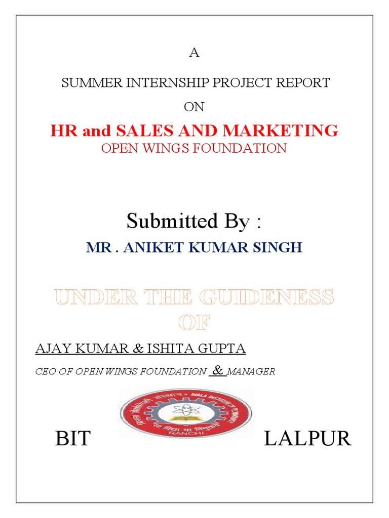 Sip Intern Report On Recruitment in A NGO | PDF