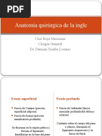 Anatomía de la Región Inguinal | PDF | Anatomía | Morfología (biología)