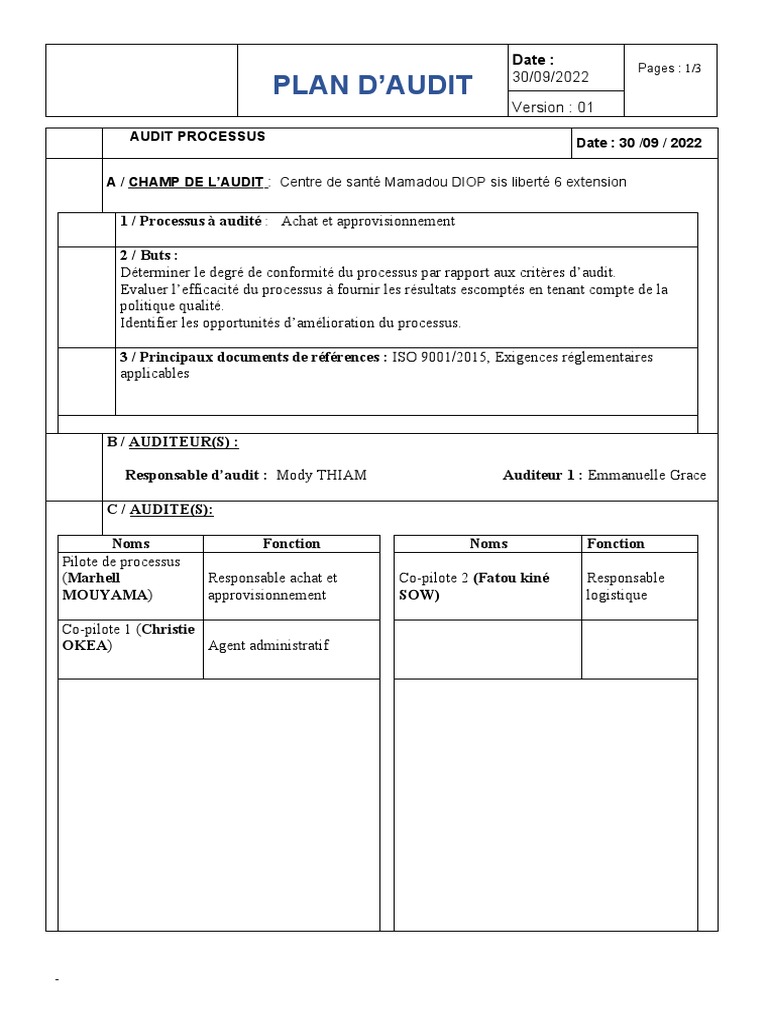 Plan D'audit | PDF | Audit | Business