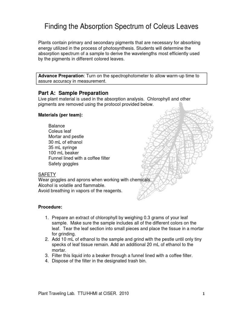 Coleus Leaf Absorption Spectrum Lab | PDF | Leaf | Color