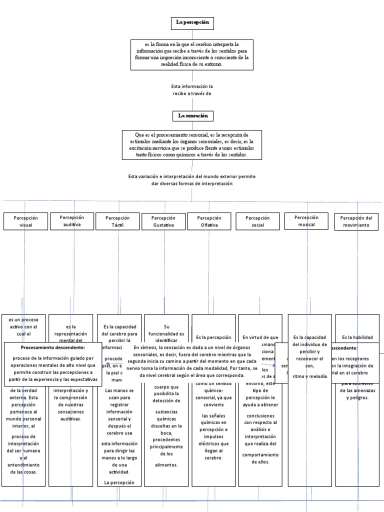 Esquema Sensacion y Percepcion | PDF | Percepción | Cerebro