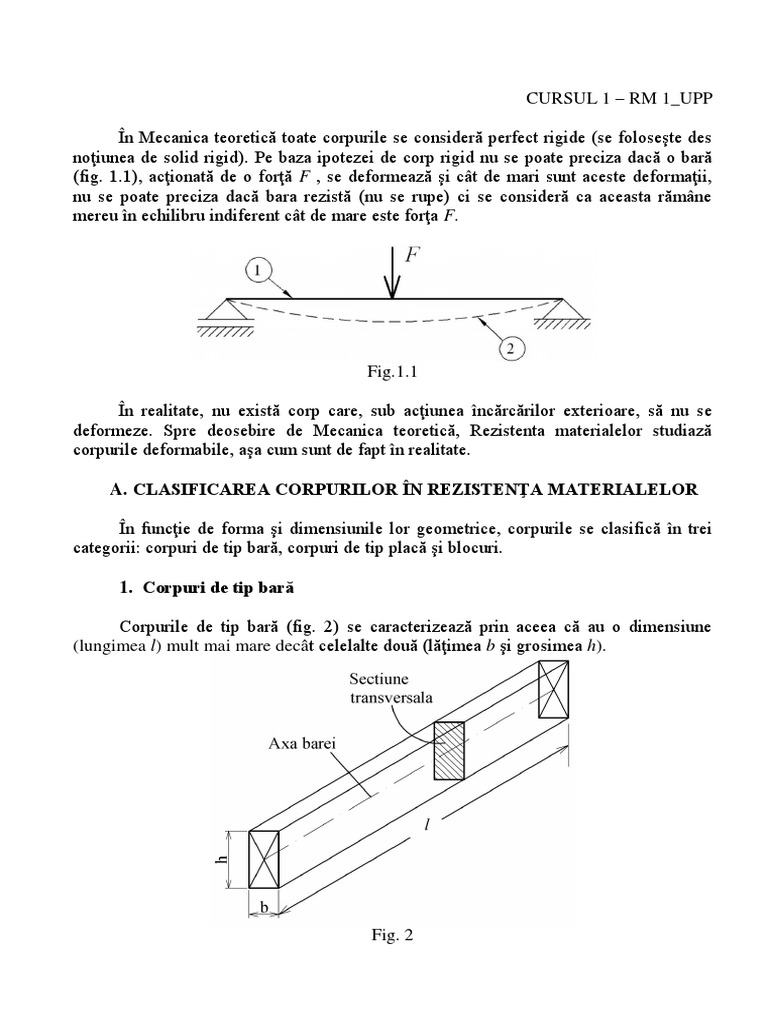 Rm1 Upp Cursul 1 | PDF