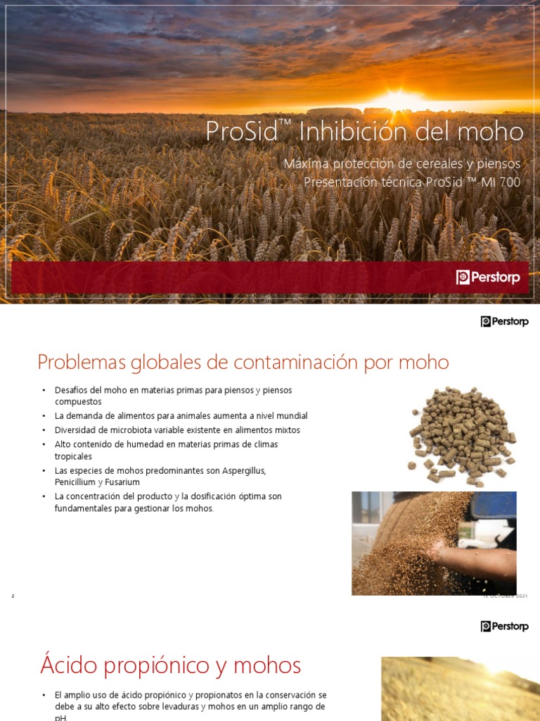 ProSid™ Mold Inhibition-Preservation-Technical Presentation-SPA | PDF ...
