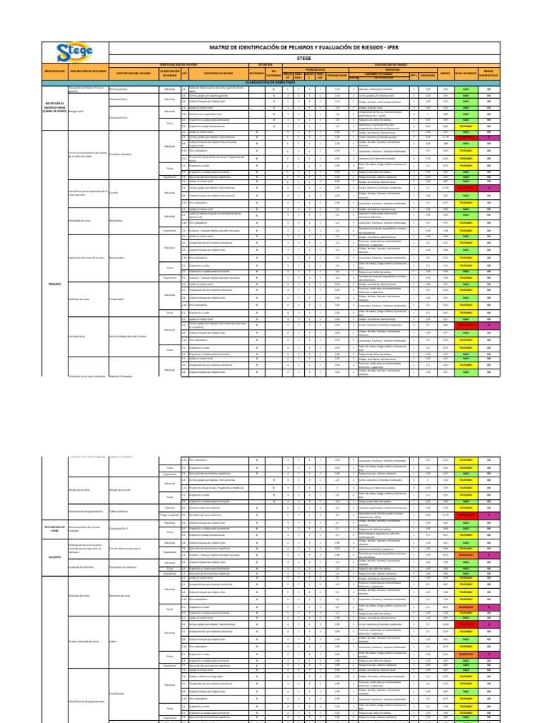 Ejemplo Matriz Iper - Stege | PDF | Enfermedades y trastornos | Medicina CLINICA