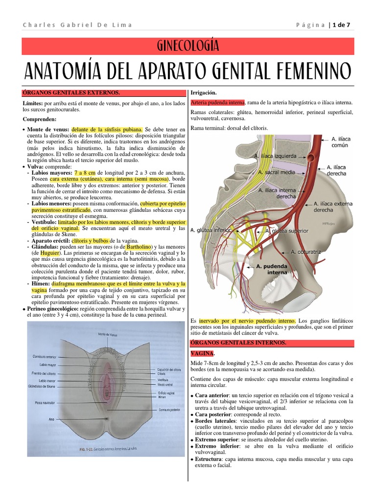 1 - Anatomía Del Aparato Genital Femenino | PDF | Vagina | Ovario