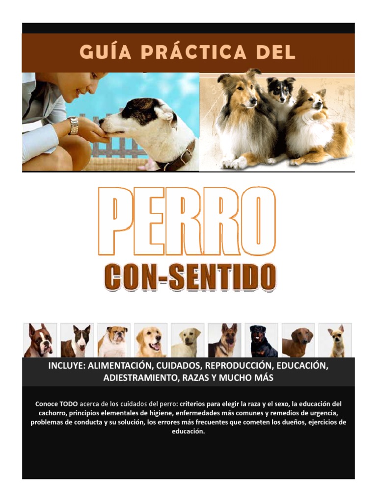 Guía completa sobre el cuidado y la salud del perro: desde la ...