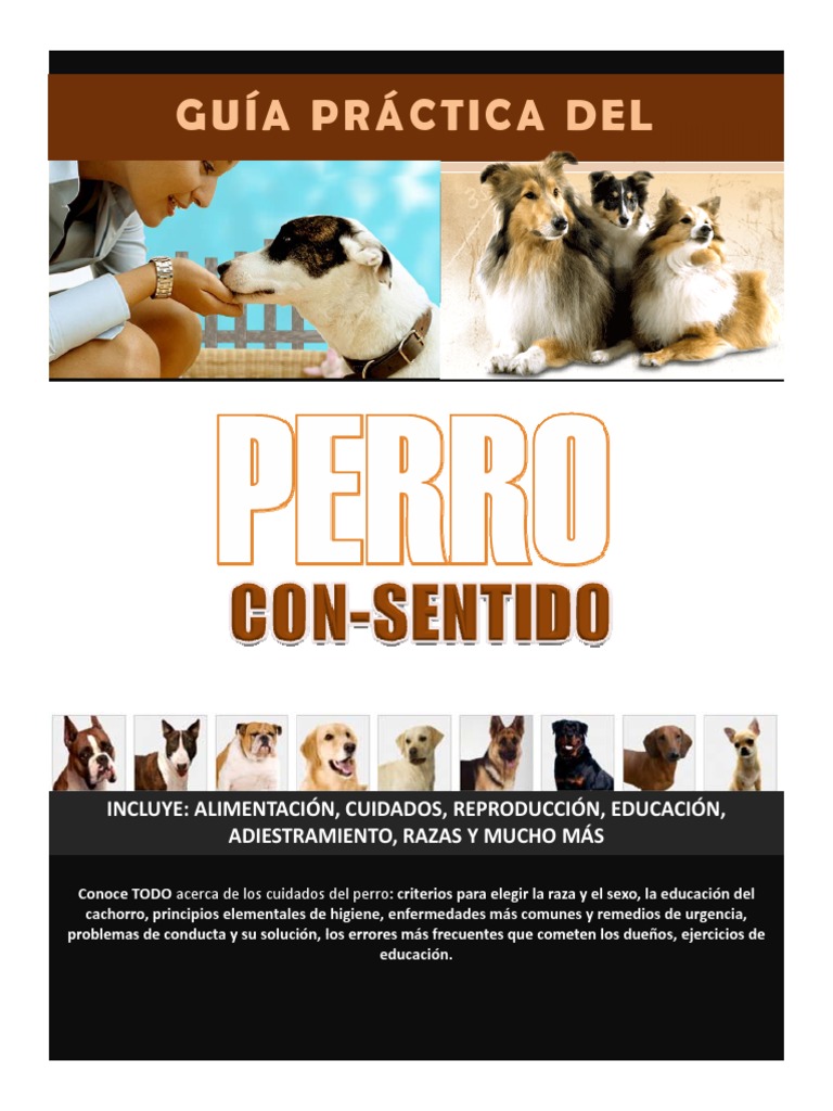 Perro Consentido (GP) - II | PDF | Cerebro | Comportamiento