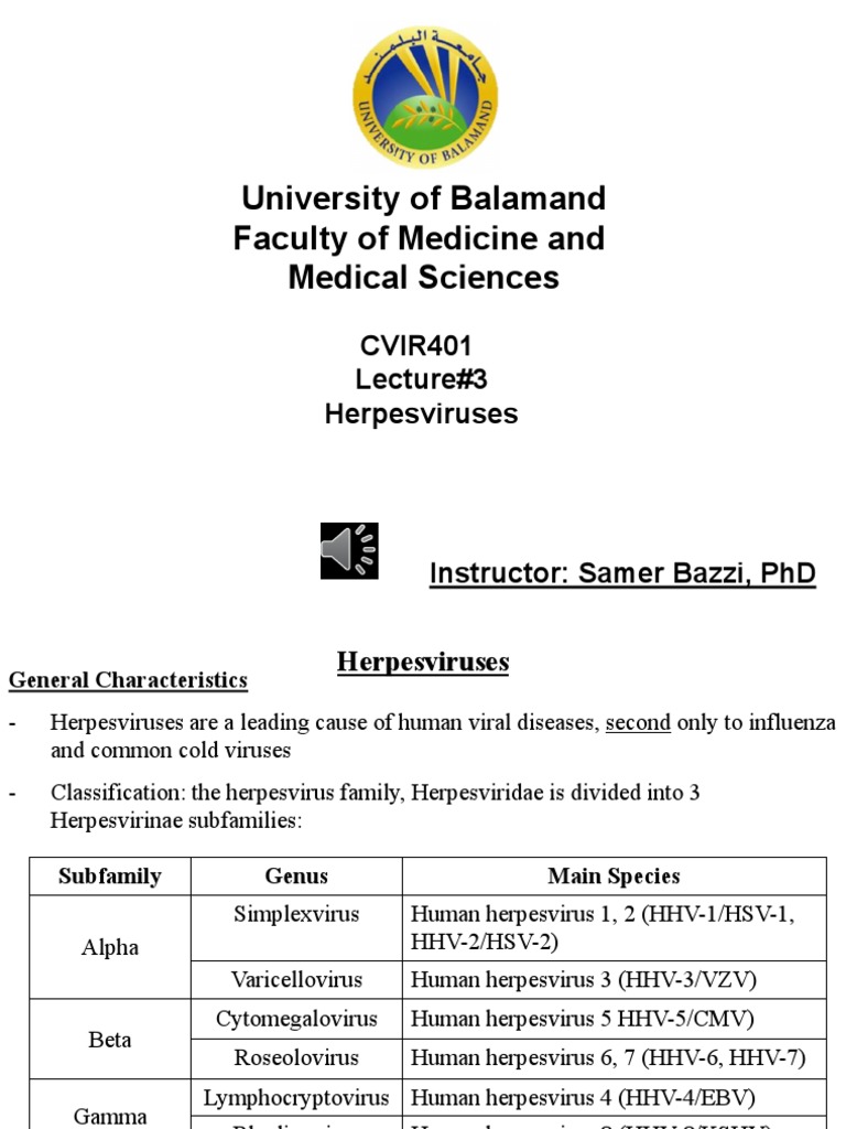Lecture 3 - Herpesviruses | PDF | Herpes Simplex | Virus Lecture 3 - Herpesviruses | PDF | Herpes Simplex | Virus
