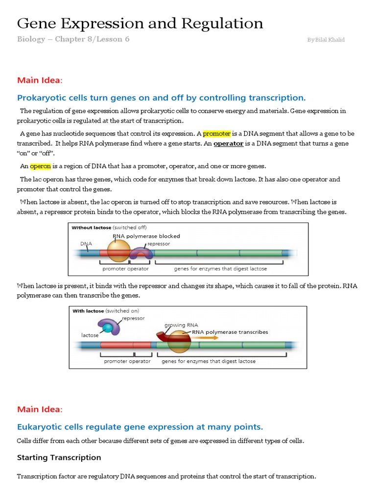 8.6 - Gene Expression and Regulation | PDF