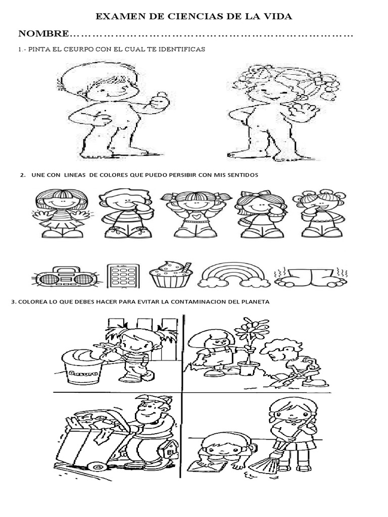 Examen de Ciencias de La Vida | PDF