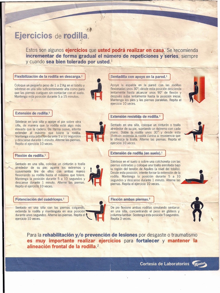 Ejercicios | PDF | Rodilla | Articulaciones