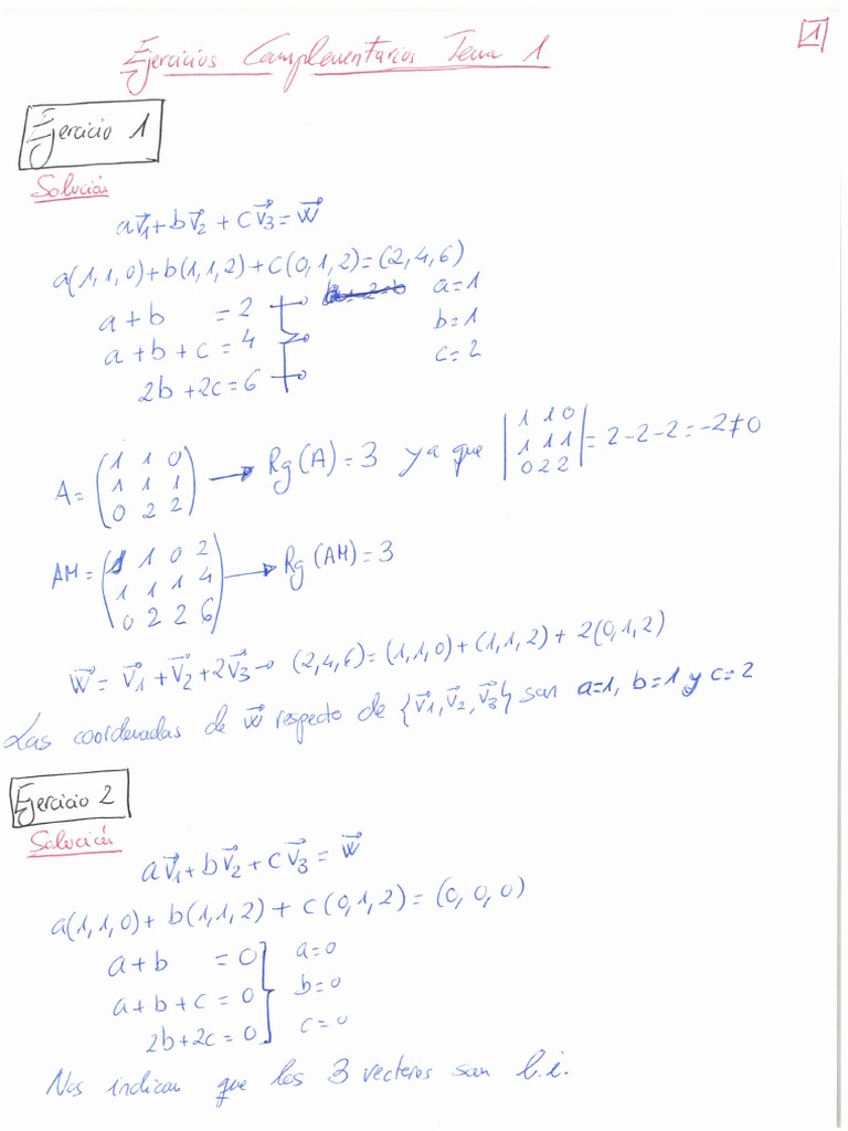 Ejercicios Complementarios Tema 1 Resueltos | PDF
